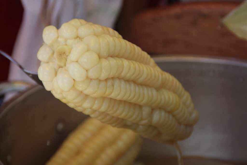 Maíz Peruano: Variedades, Historia y Tradición en la Cultura Andina