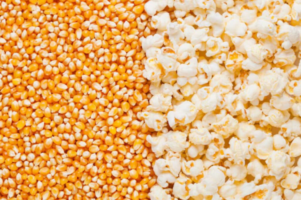 Maíz Peruano: Variedades, Historia y Tradición en la Cultura Andina