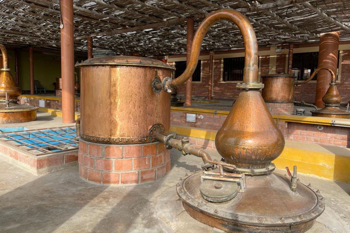 El pisco peruano: una bebida con fama mundial